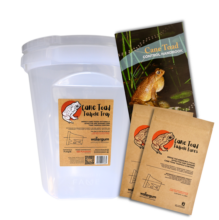 Cane Toad Tadpole Products – Watergum Community