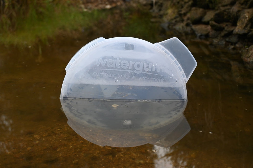 Cane Toad Tadpole Trap – Watergum Community